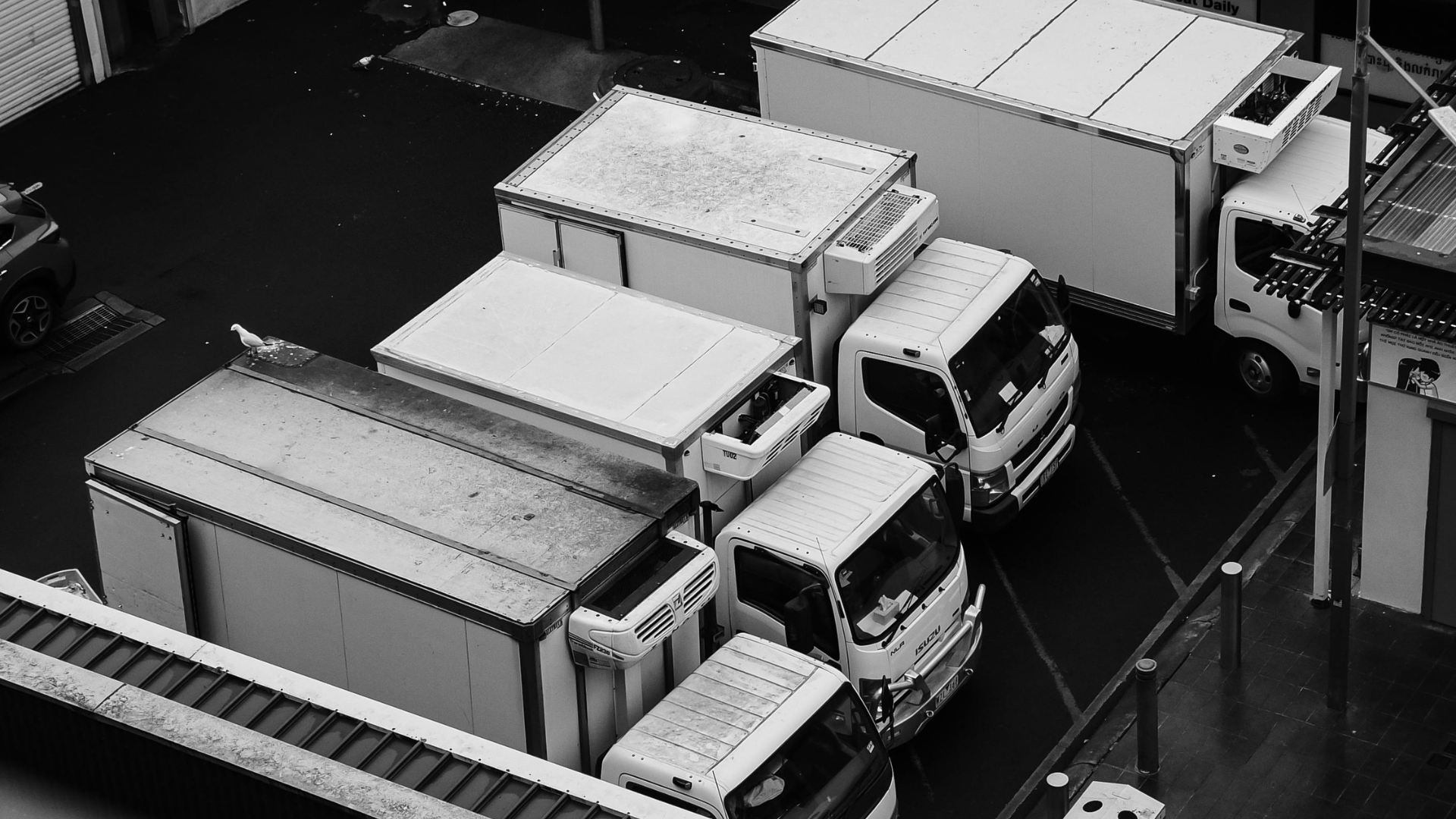 Cold chain logistics: 2025 guide | Geotab